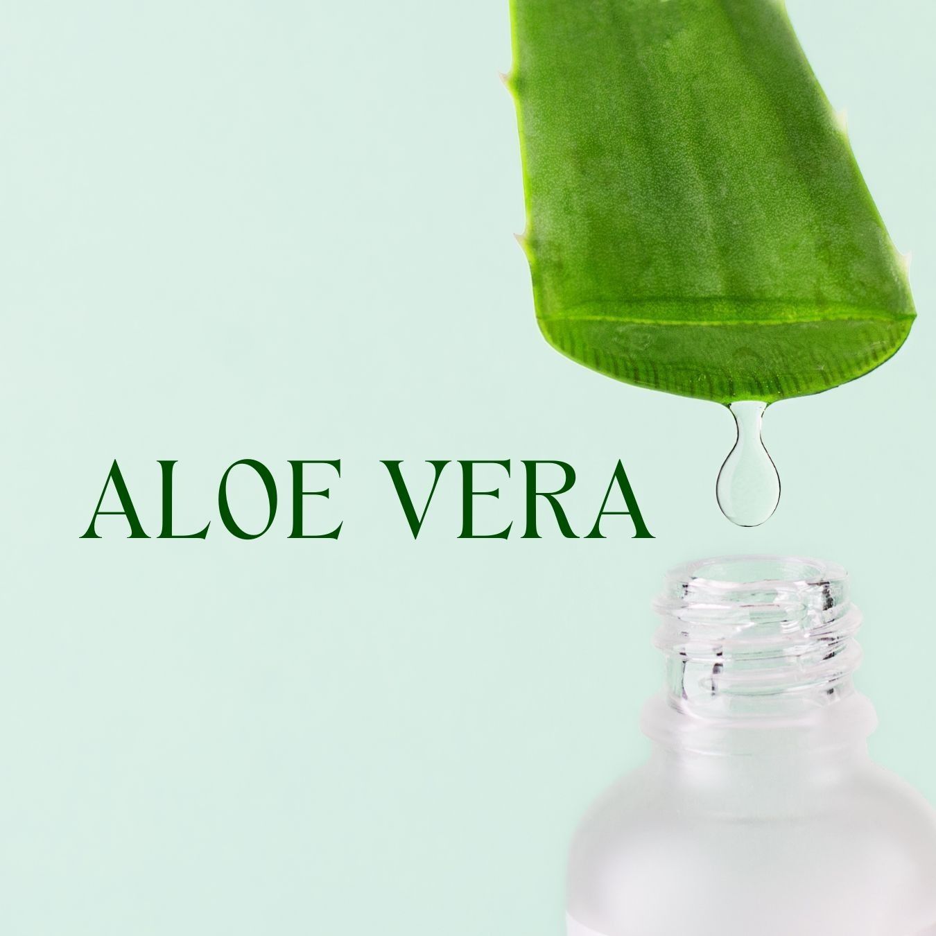 About us (Aloe.in.ua - Health and Beauty Goods with aloe vera) — buy ...